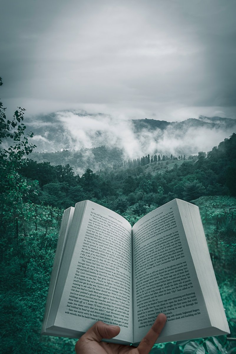 The Best Poetry Books of 2026 for Healing and Self-Discovery - Best ...